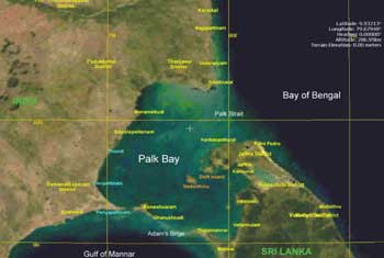 Focus on plight of Palk Bay fishermen