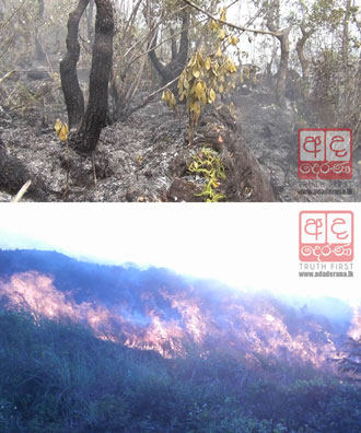 Fire at Sri Pada...