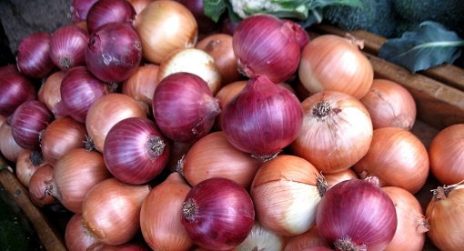 Special commodity levy on imported big onions