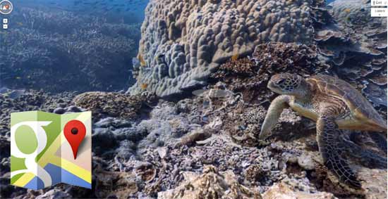Google launches Maps Ocean, allows you to scuba dive into the Great ...