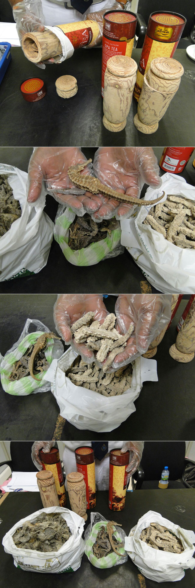 Chinese smuggler held...