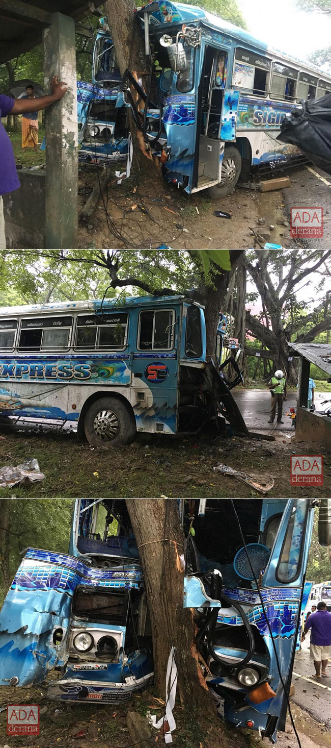 Driver, conductor flee after bus crashes into tree; 13 injured