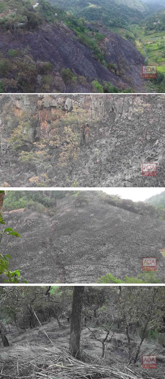 Wildfire in Aluwela Reserve destroys acres