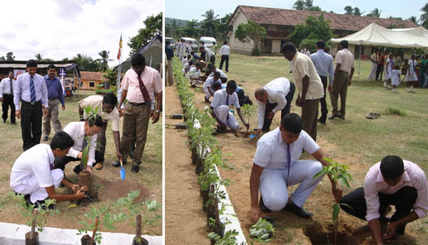 Tokyo Cement Company celebrates National Tree Planting Day
