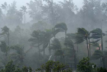 Strong winds destroy 30 homes in Wellawaya