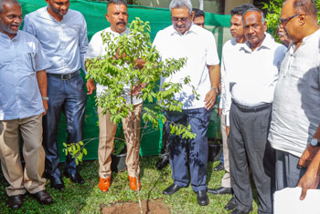 President joins National Tree Planting Program…