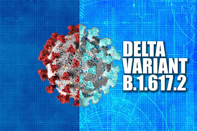 Delta variant responsible for 95.8% of COVID infections in Sri Lanka ...