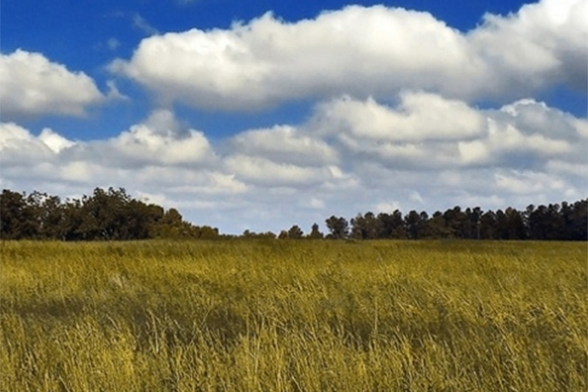 Fair weather expected over the island and sea areas