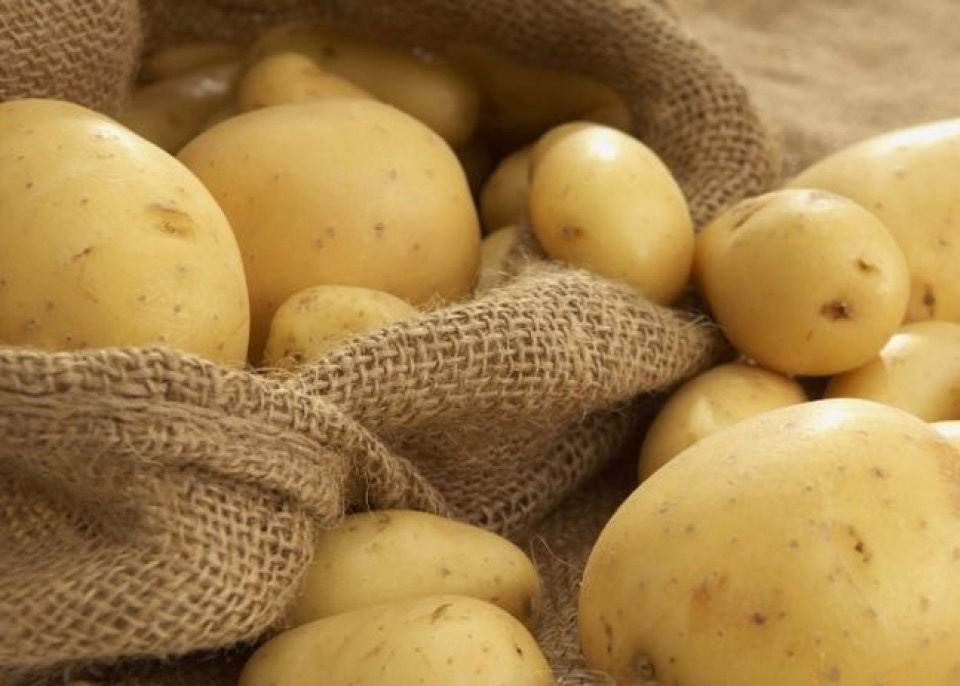 Request to impose tax on imported potatoes