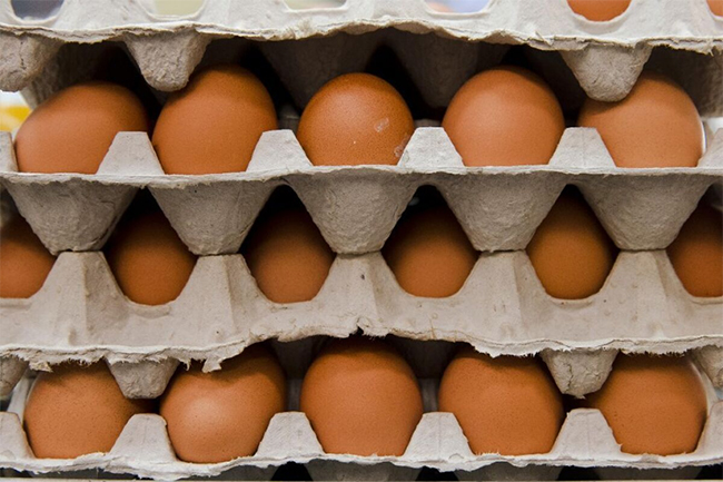 Special commodity levy on imported eggs slashed ahead of arrival of ...