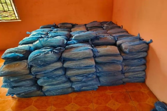 Three including pastor caught smuggling 600kg ganja meant for Sri Lanka