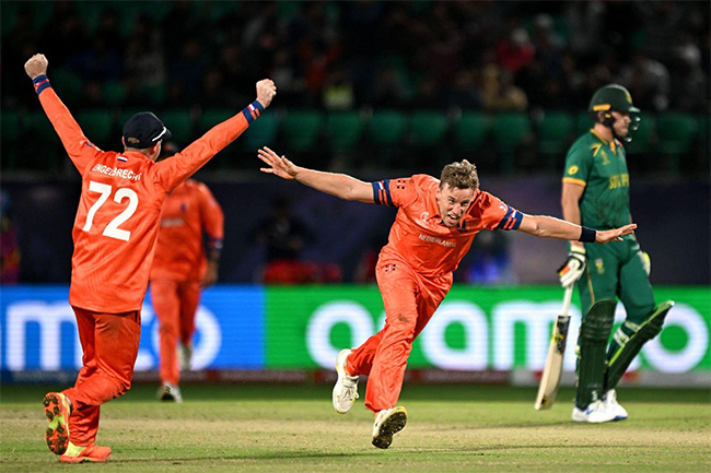 CWC23: Netherlands claim historic win over South Africa by 38 runs