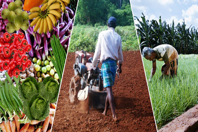 Cabinet nod for President’s proposals on agri. sector modernization