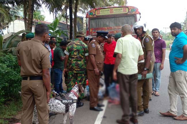 Nearly 100kg of game meat found inside SLTB bus