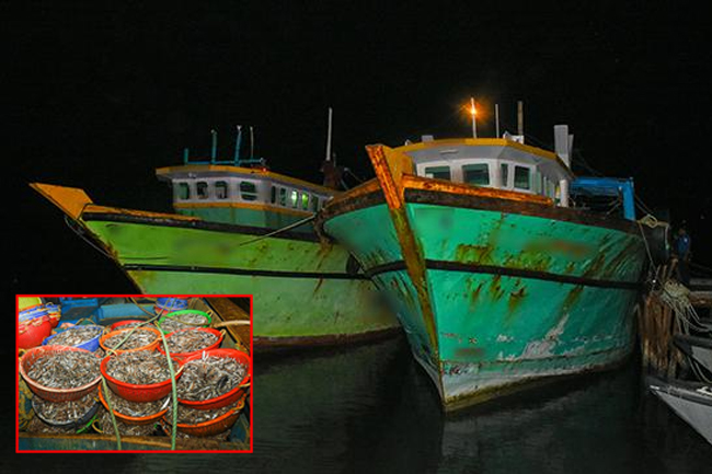 Navy apprehends 18 Indian fishermen poaching in Sri Lankan waters